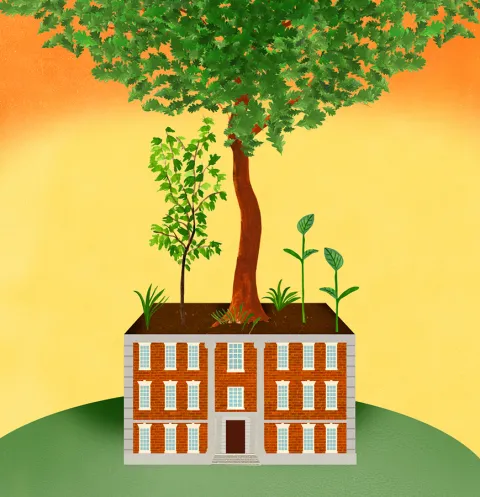 The Insider’s Guide to CEEDS